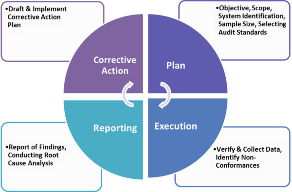Fundamentals of a Healthcare Internal Business System Audit - American ...